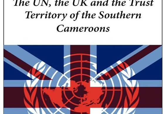 The Trials and Tribulations of a ZIPRA Soldier - Langaa Research and ...