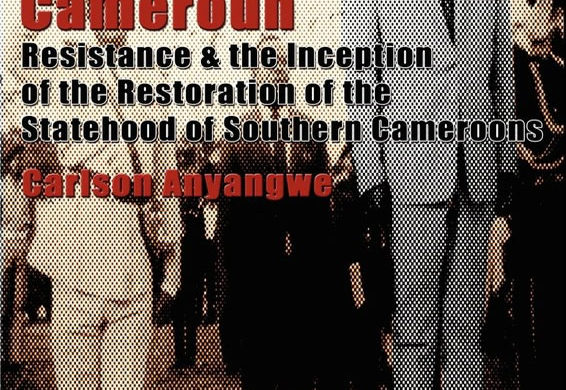 The Trials and Tribulations of a ZIPRA Soldier - Langaa Research and ...