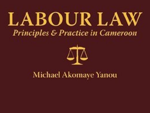 Principles of Namibian Criminal Law - Langaa Research and Publishing ...