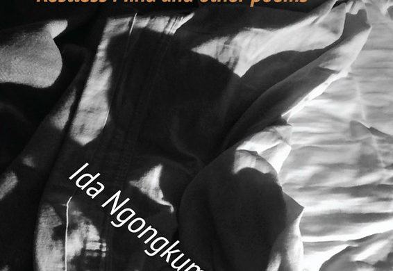 Riddles, Folktales and Proverbs from Cameroon - Langaa Research and ...